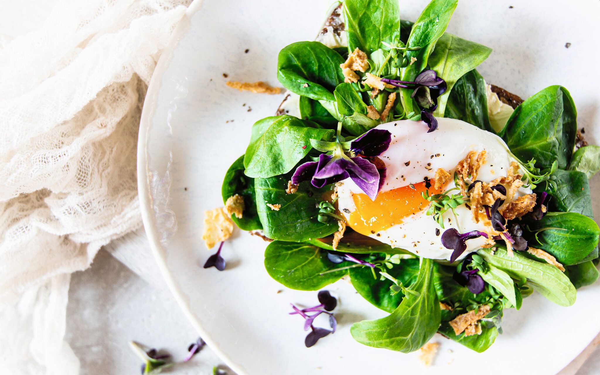 Mit Deli Reform Aktiv zurück ins Office | PUNKT PR